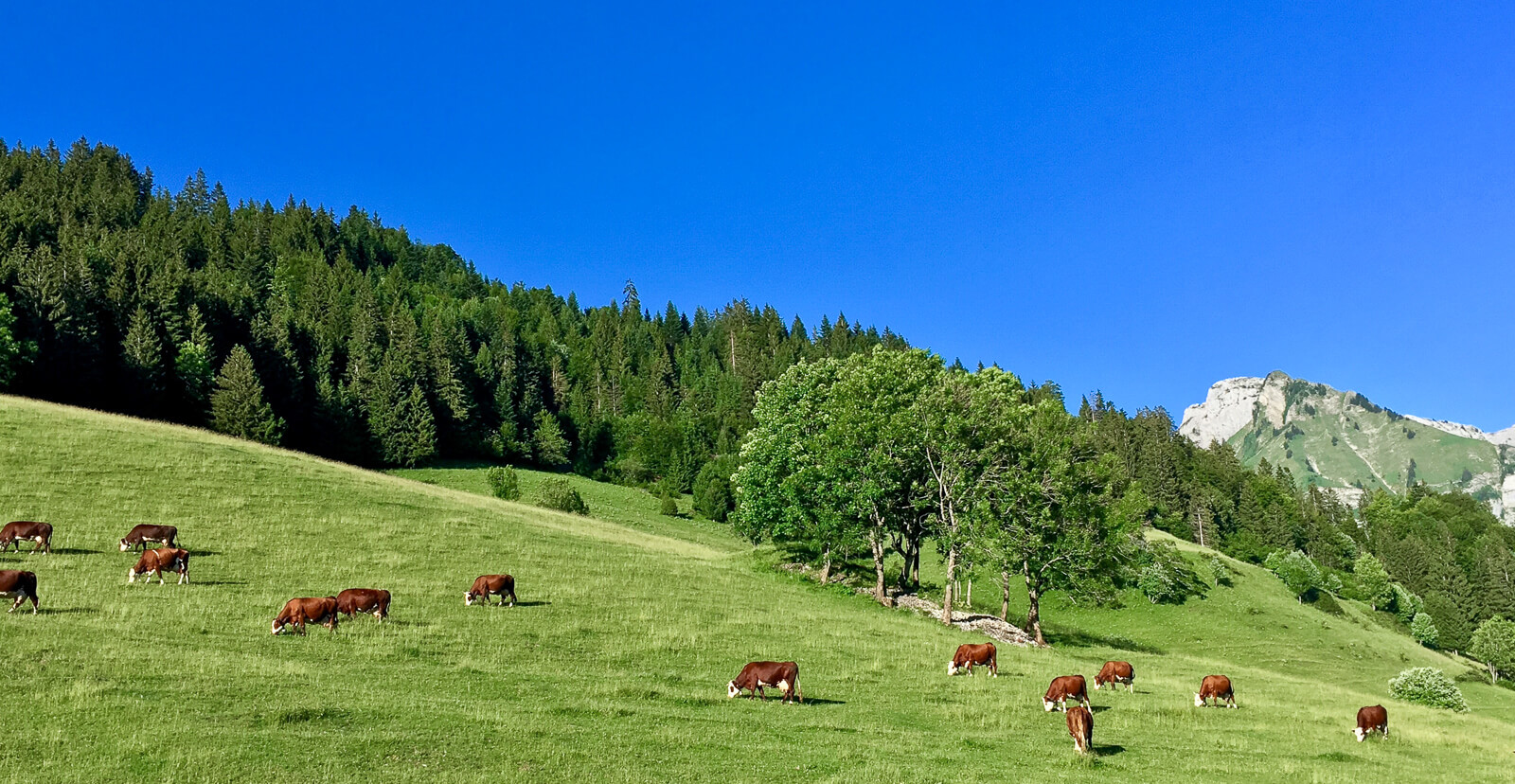 Lac d'Annecy: le col de la Forclaz - The Other Paths