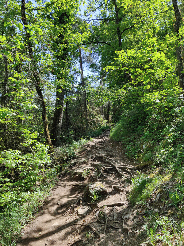 Lac d’Annecy: la crête du Taillefer de Duingt | The Other Paths