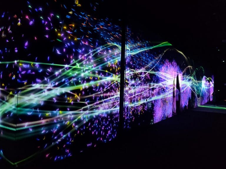TeamLab Borderless et Planets: laquelle visiter? | The Other Paths