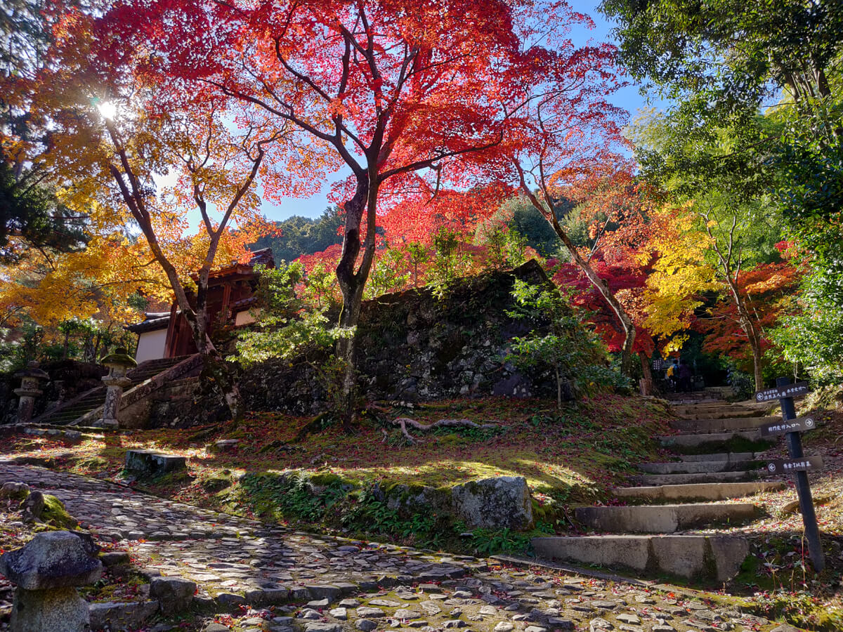 Nison-in: un temple tranquille à Kyoto | The Other Paths