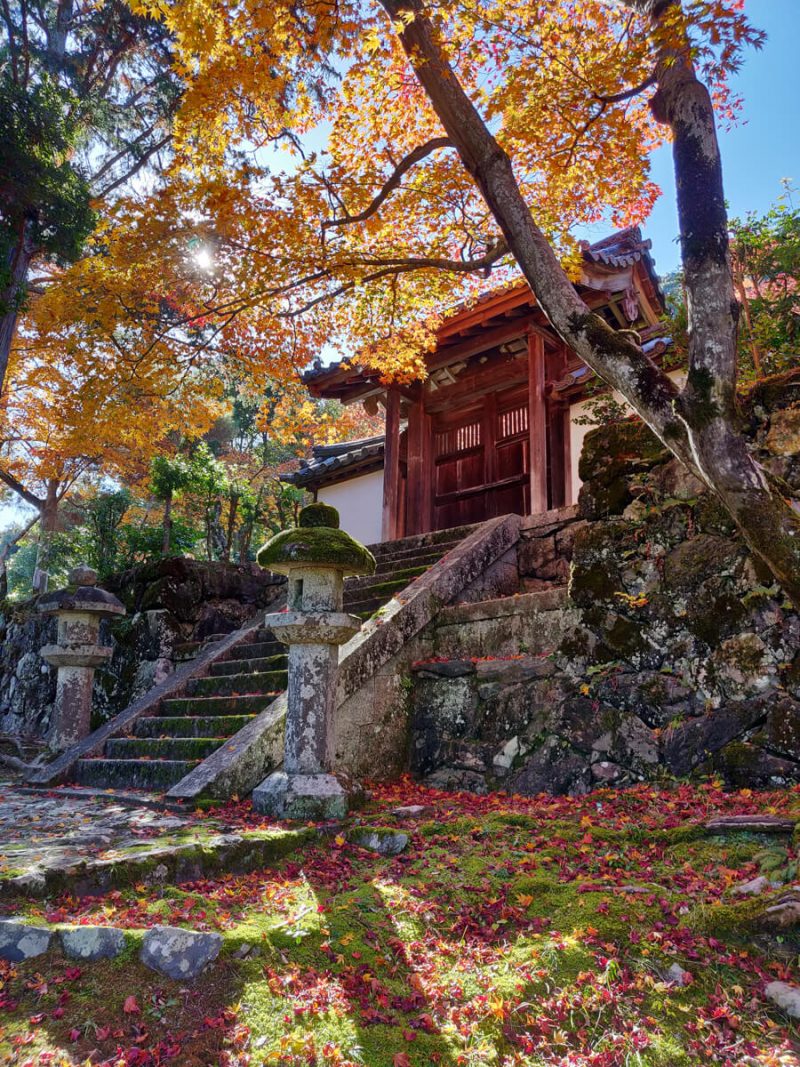 Nison-in: un temple tranquille à Kyoto | The Other Paths