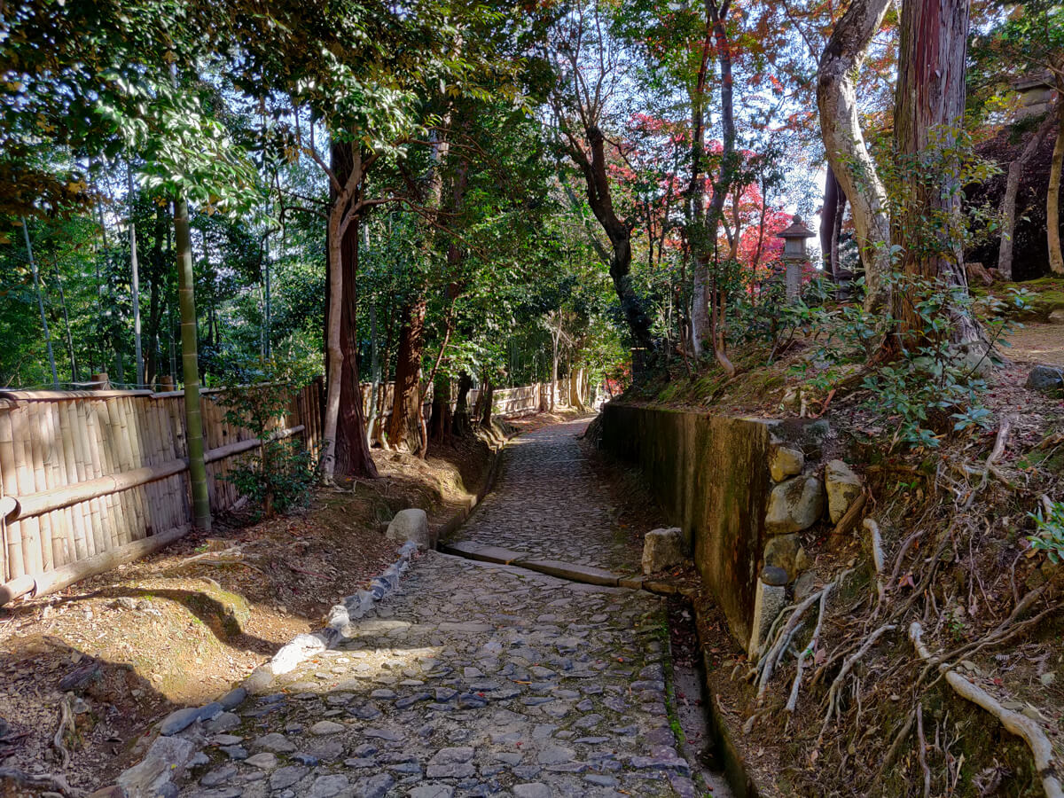 Nison-in: un temple tranquille à Kyoto - The Other Paths