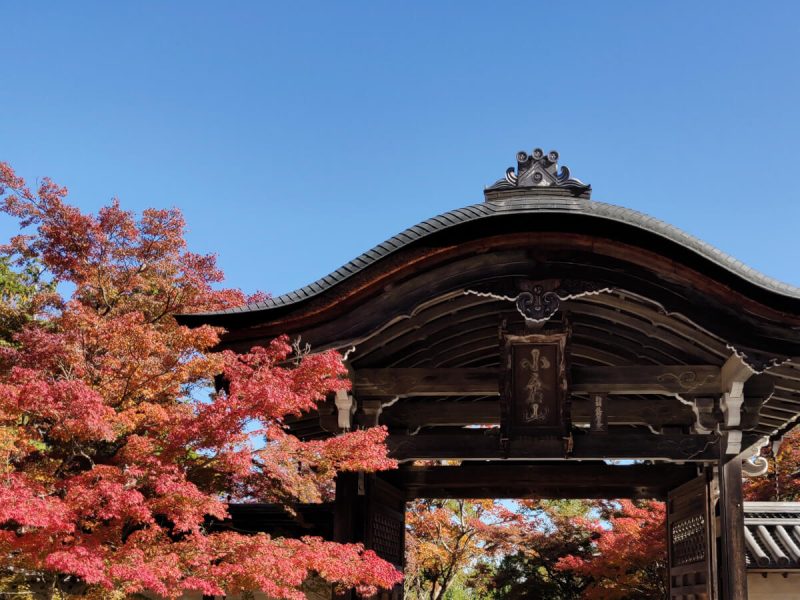 Nison-in: un temple tranquille à Kyoto | The Other Paths