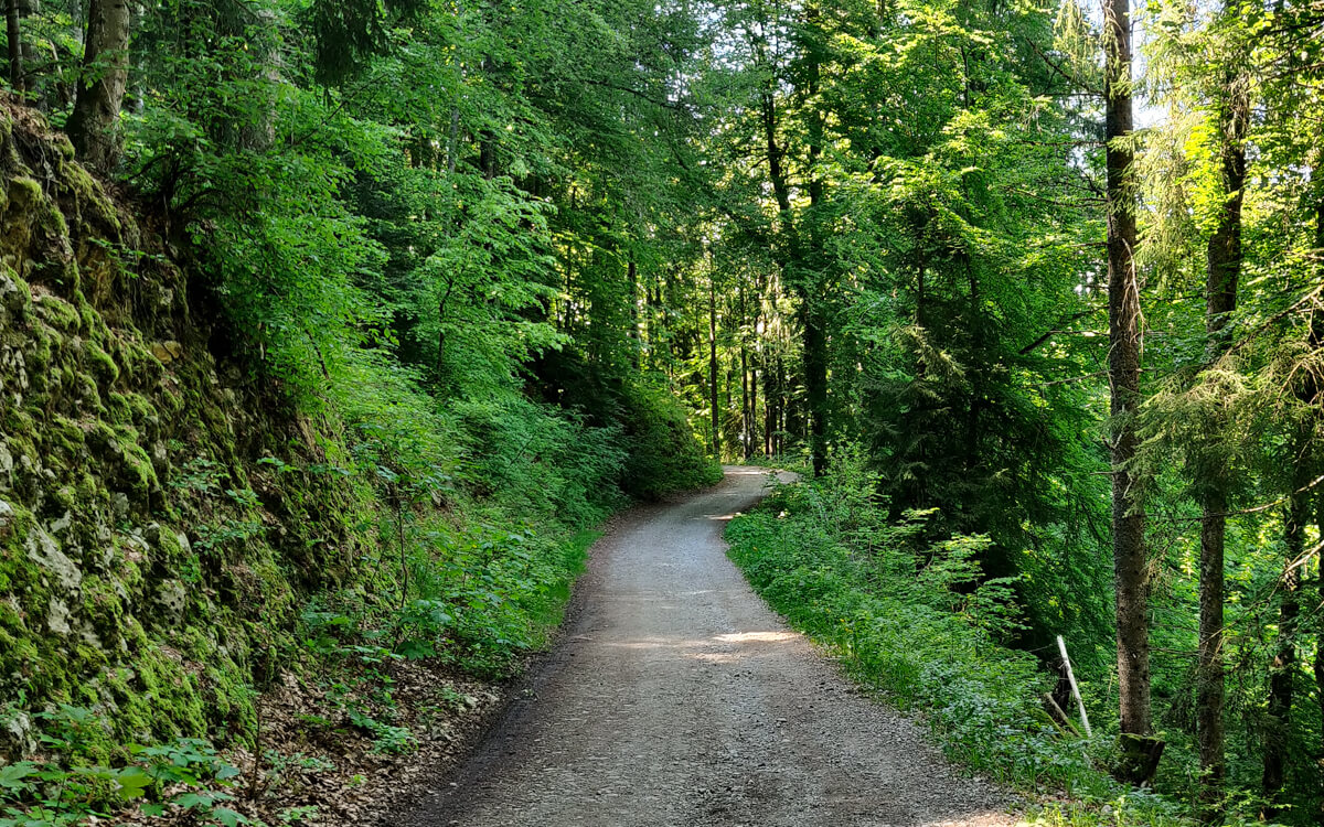 Randonnée au lac Bénit (Mont-Saxonnex) - The Other Paths