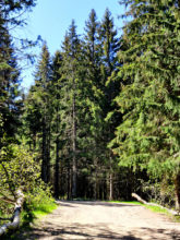 Randonnée au lac Bénit (Mont-Saxonnex) - The Other Paths