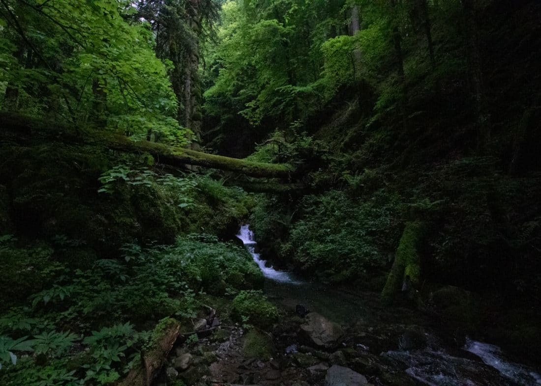 Guide des cascades proches du lac d’Annecy | The Other Paths