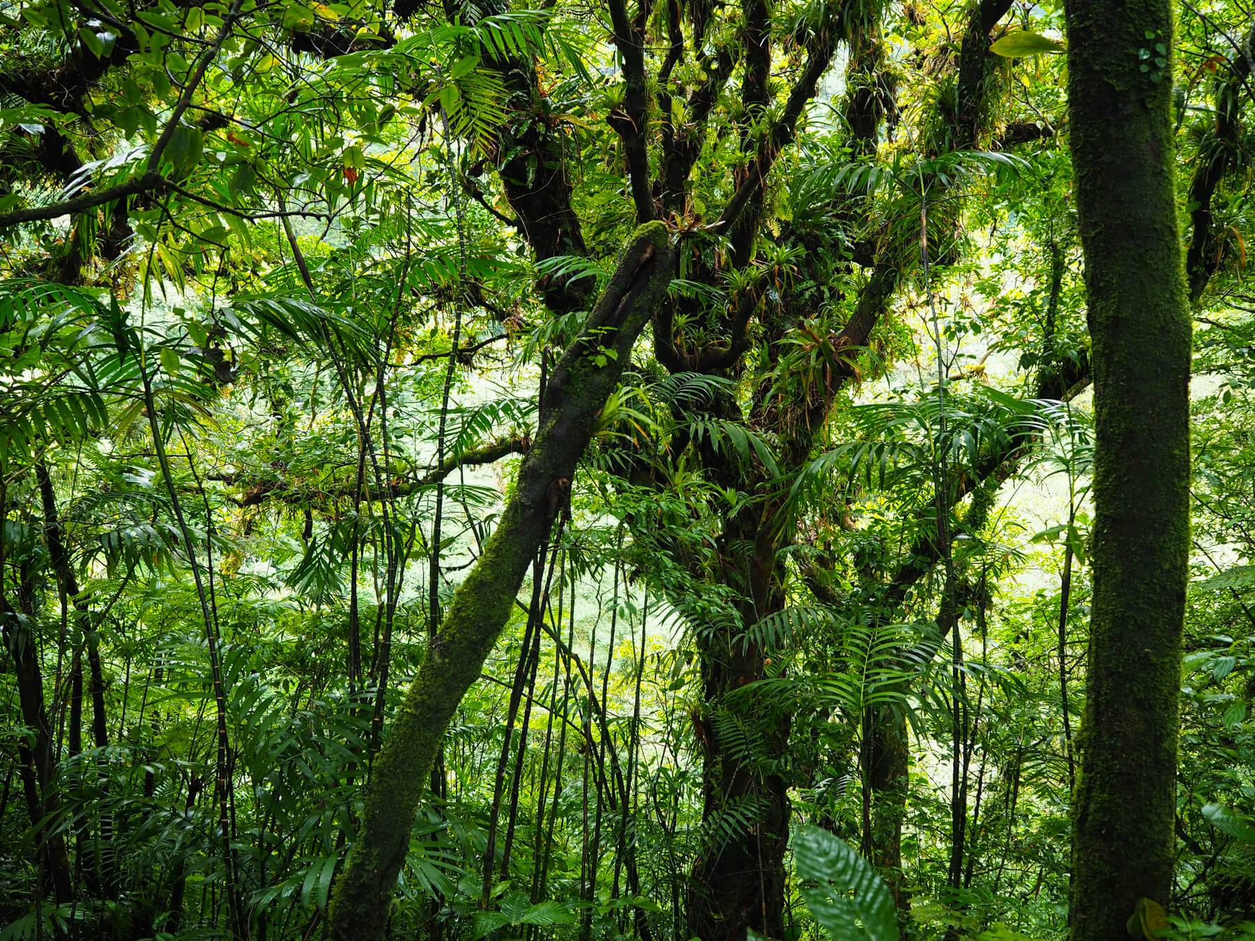 Explorer le volcan Mombacho au Nicaragua - The Other Paths
