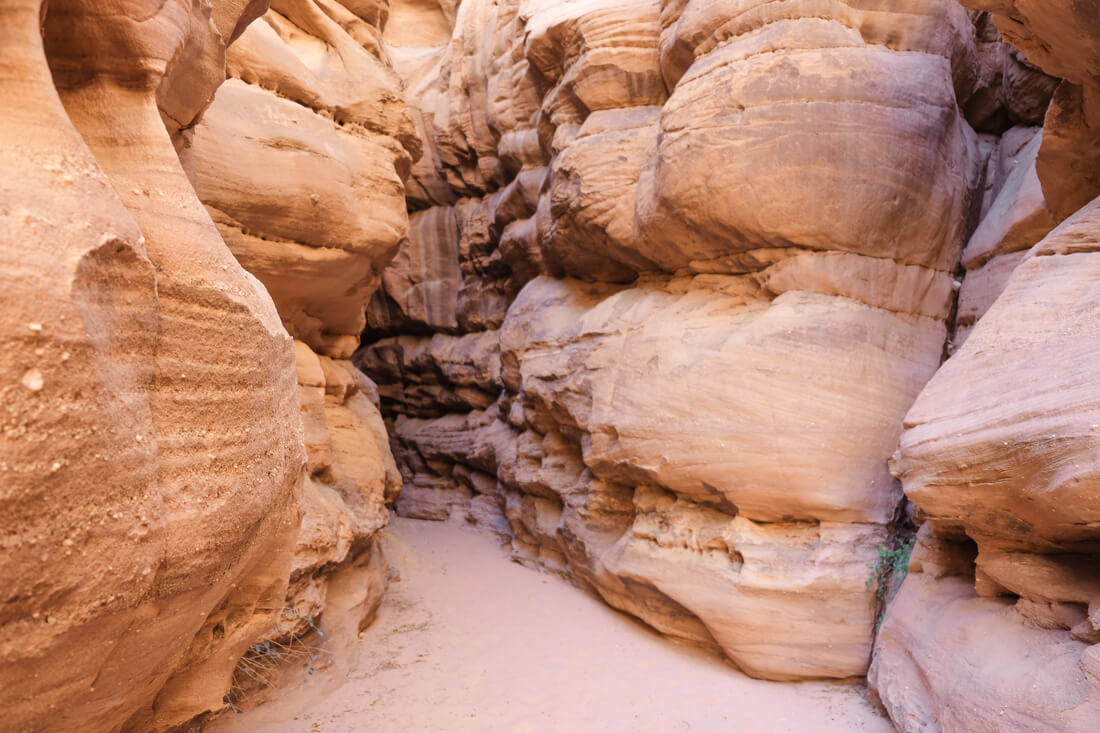 Le désert d'Hisma: le Wadi Rum d'Arabie Saoudite | The Other Paths