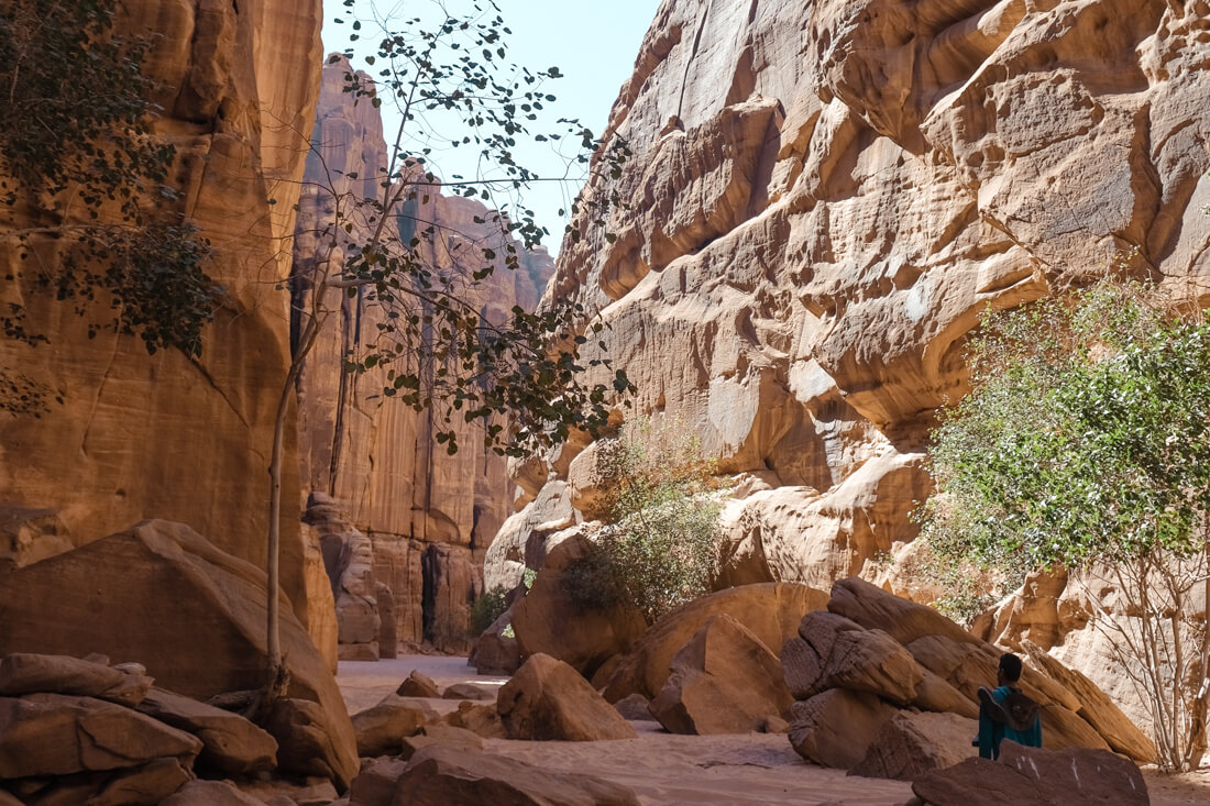 Le désert d'Hisma: le Wadi Rum d'Arabie Saoudite | The Other Paths